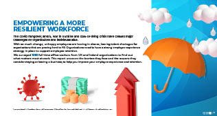 Employee Experience Report