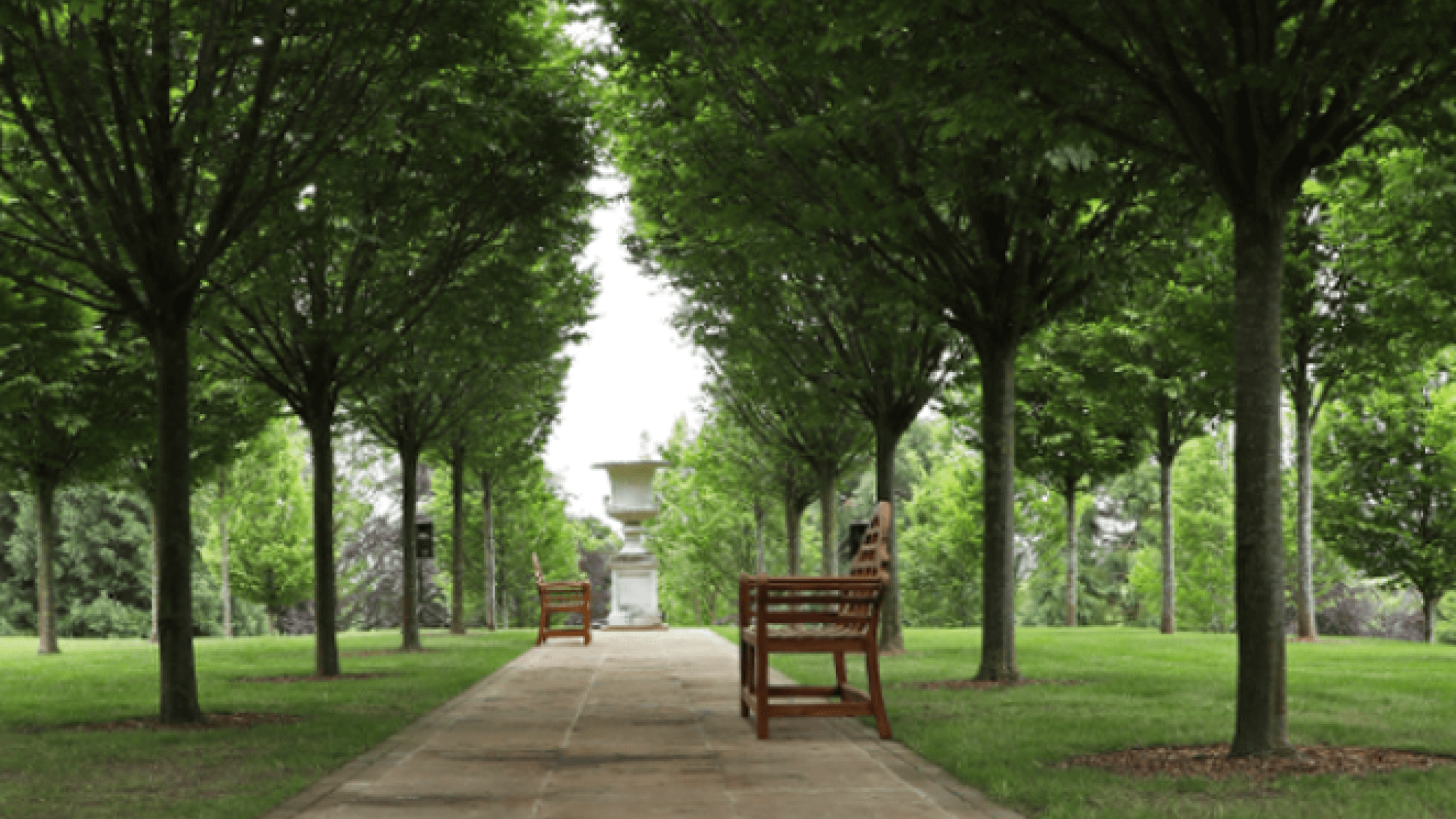 Who is MHR Global? | About MHR International | MHR